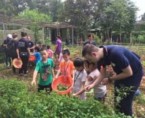 Oxford English Academy - OEA Vietnam